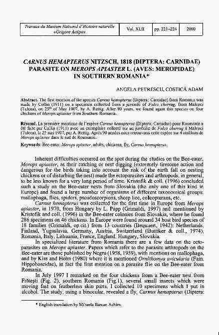 (PDF) Carnus hemapterus Nitzsch, 1818 (Diptera: Carnidae) parasite on ...