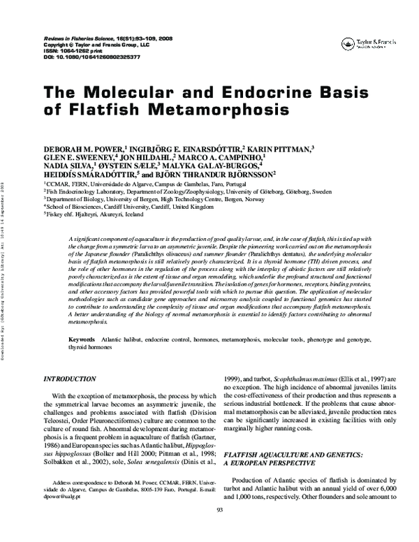 (PDF) The Molecular and Endocrine Basis of Flatfish Metamorphosis