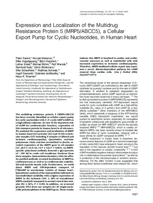(PDF) Expression and Localization of the Multidrug Resistance Protein 5 ...