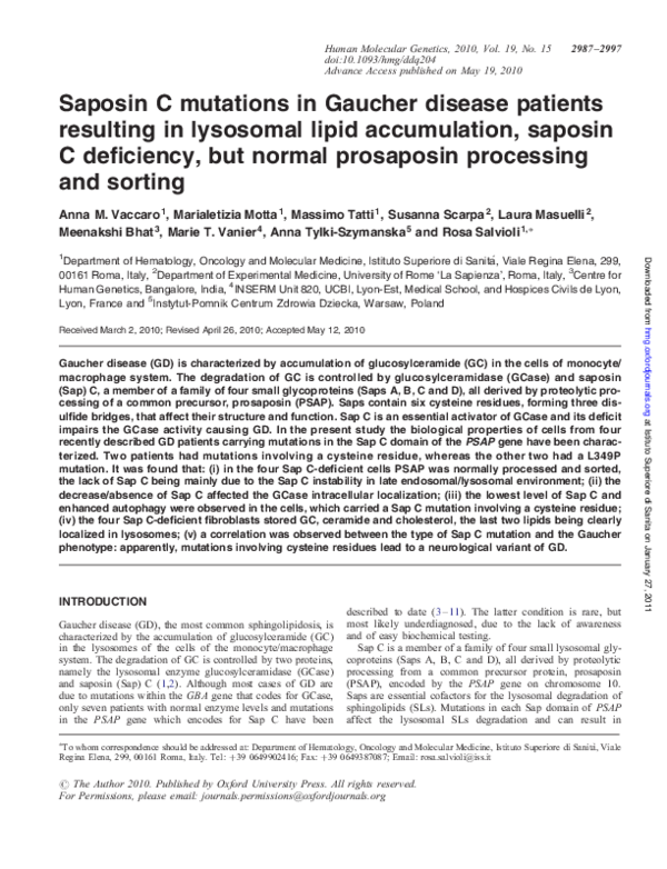 (PDF) Saposin C mutations in Gaucher disease patients resulting in ...