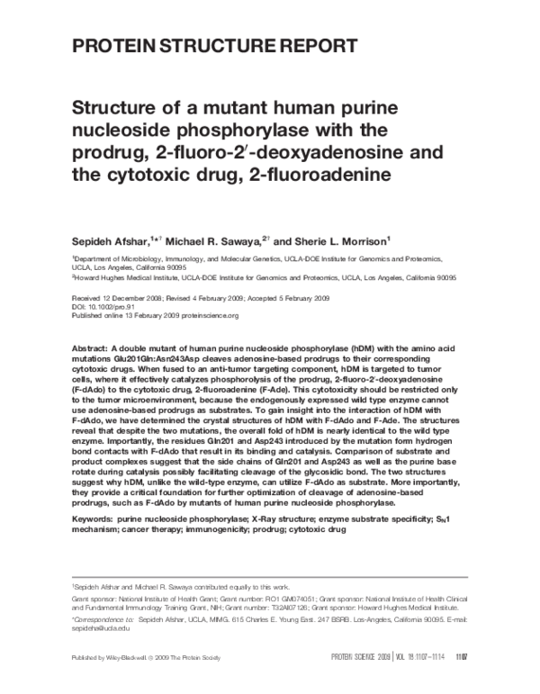 (PDF) Structure of a mutant human purine nucleoside phosphorylase with ...