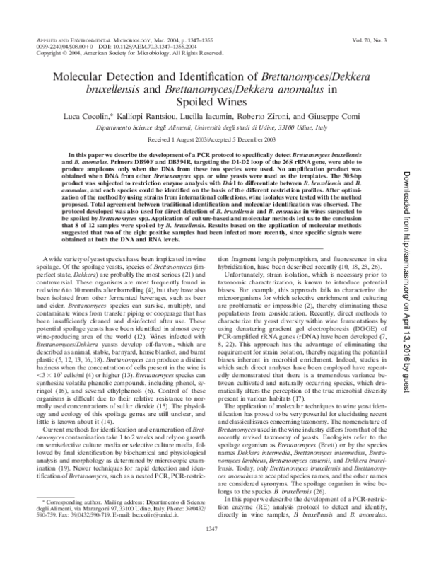 (PDF) Molecular Detection and Identification of Brettanomyces/Dekkera ...