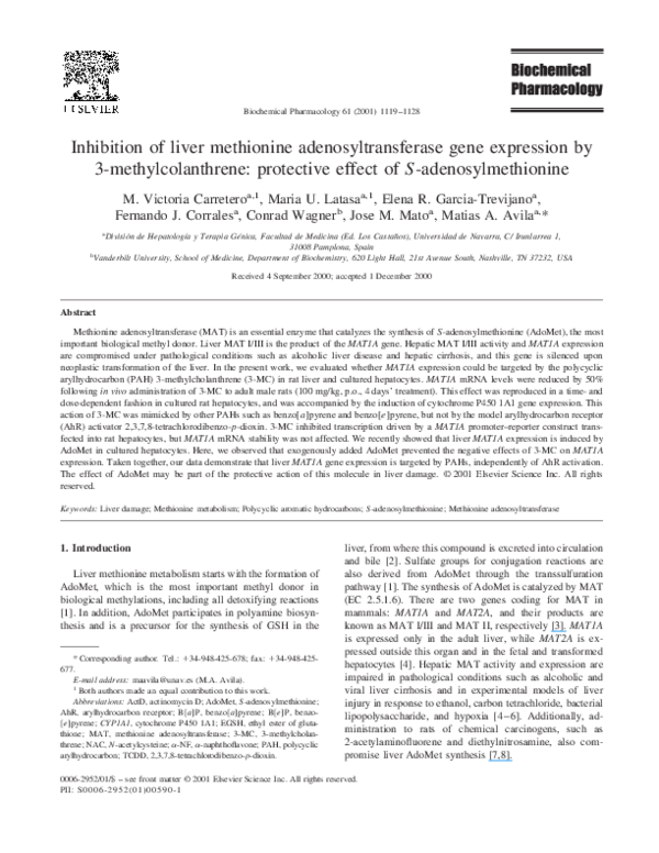(PDF) Inhibition of liver methionine adenosyltransferase gene ...