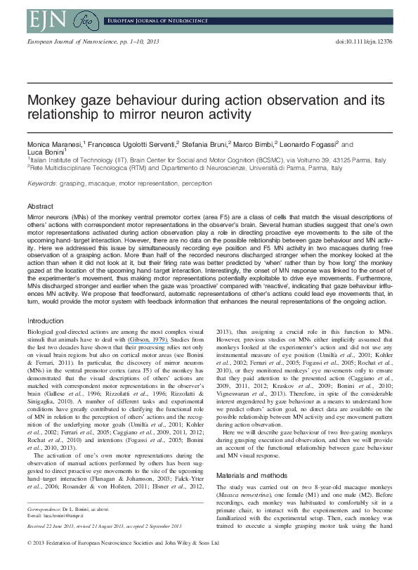 (PDF) Monkey gaze behaviour during action observation and its ...