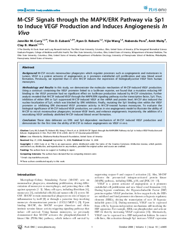 (PDF) M-CSF Signals through the MAPK/ERK Pathway via Sp1 to Induce VEGF ...