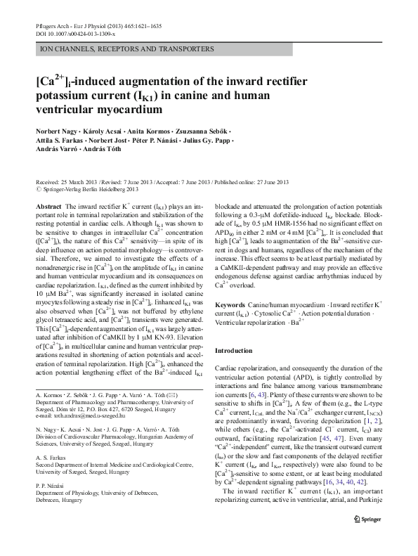 (PDF) [Ca2+] i-induced augmentation of the inward rectifier potassium ...