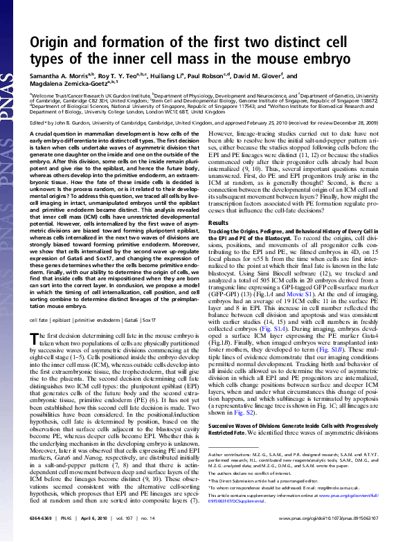 (PDF) Origin and formation of the first two distinct cell types of the ...