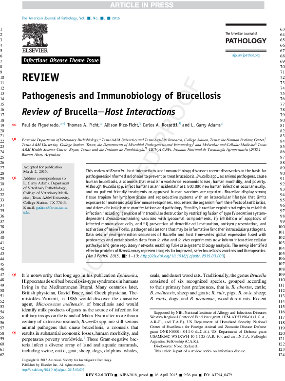 (PDF) Pathogenesis and Immunobiology of Brucellosis: Review of Brucella ...