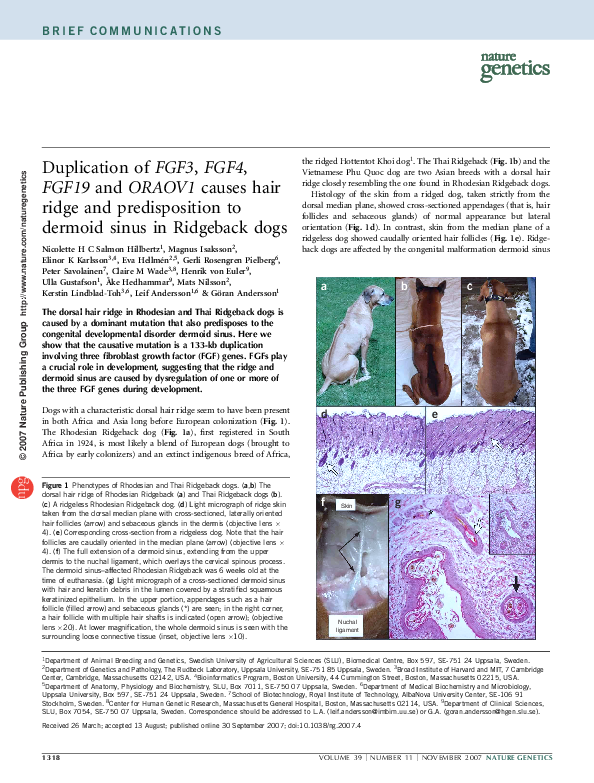 (PDF) Duplication of FGF3, FGF4, FGF19 and ORAOV1 causes hair ridge and ...