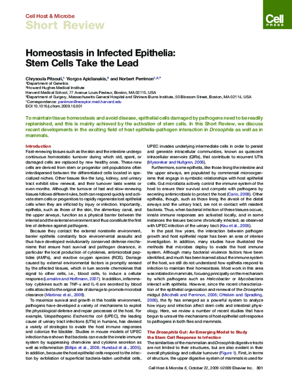 (PDF) Homeostasis in Infected Epithelia: Stem Cells Take the Lead ...