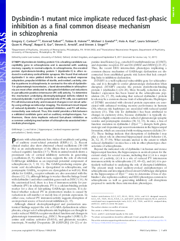 (PDF) Dysbindin-1 mutant mice implicate reduced fast-phasic inhibition ...