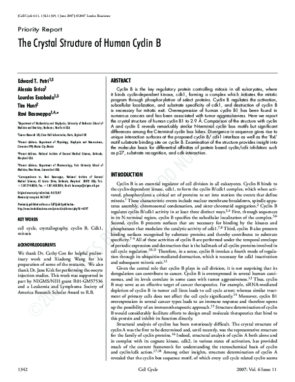(PDF) The crystal structure of cyclin A