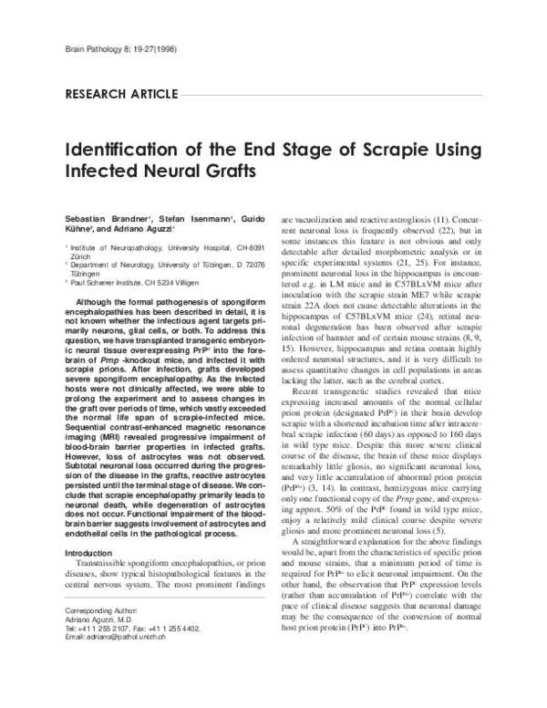 (PDF) Identification of the End Stage of Scrapie Using Infected Neural ...
