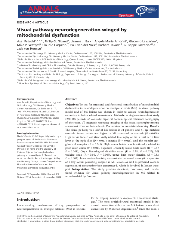 (PDF) Visual pathway neurodegeneration winged by mitochondrial dysfunction