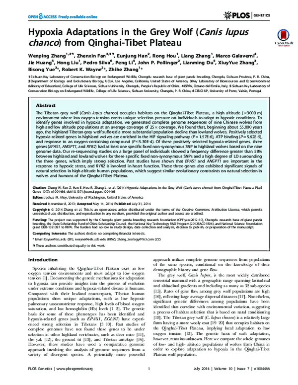 (PDF) Hypoxia adaptations in the grey wolf (Canis lupus chanco) from ...