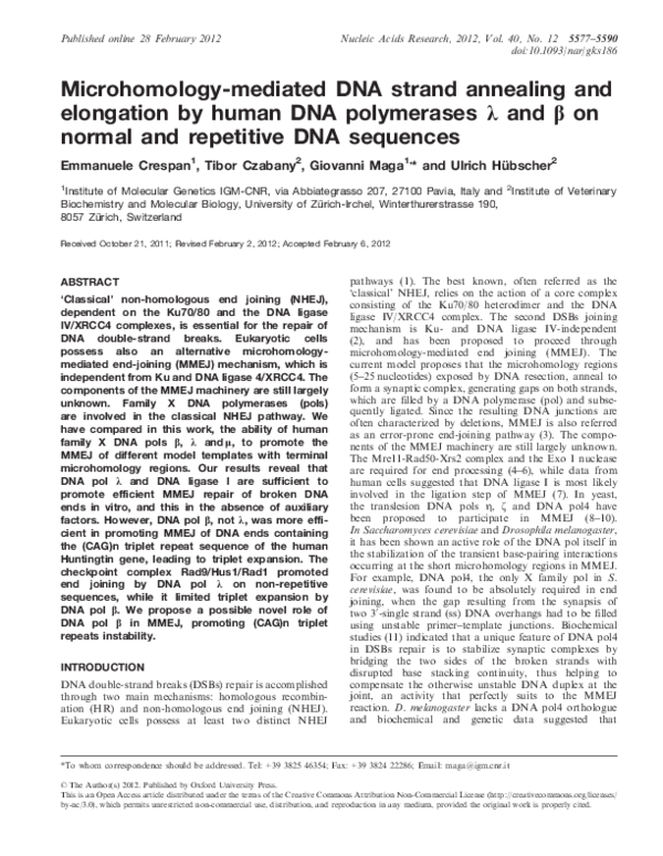 (PDF) Microhomology-mediated DNA strand annealing and elongation by ...