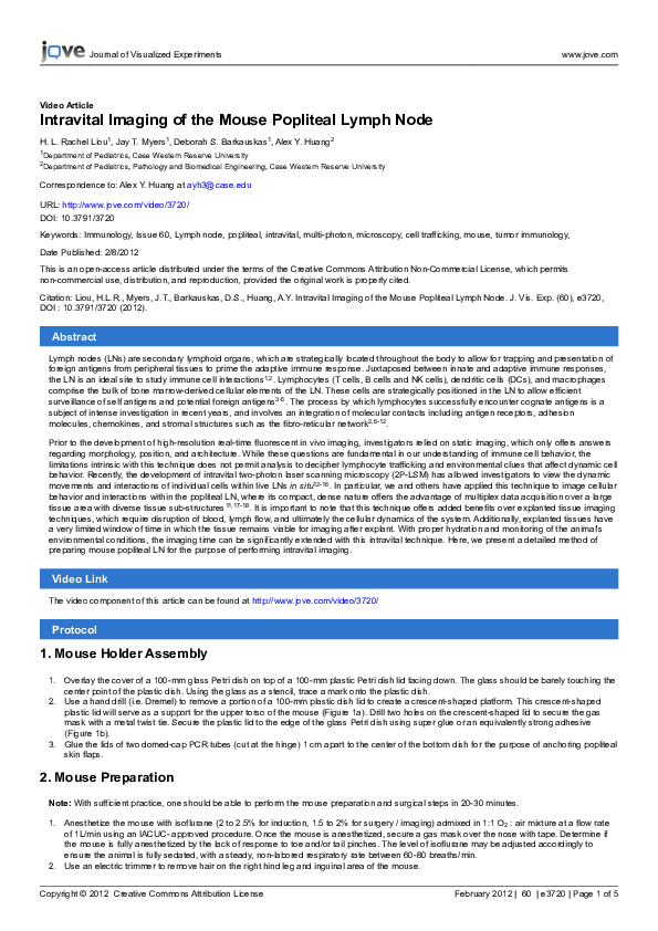 (PDF) Intravital Imaging of the Mouse Popliteal Lymph Node