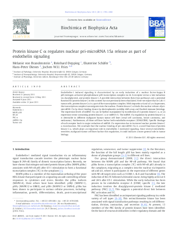 (PDF) Protein kinase C α regulates nuclear pri-microRNA 15a release as ...