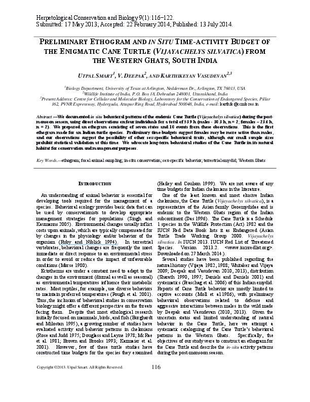 (PDF) Preliminary ethogram and in situ time-activity budget of the ...
