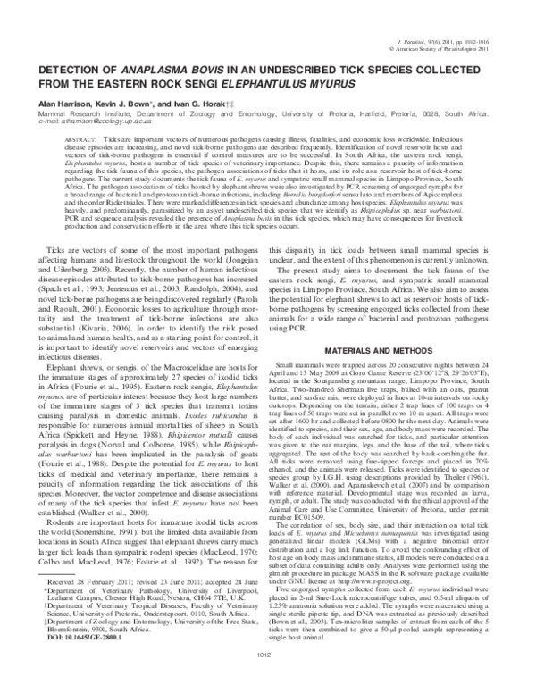 (PDF) Detection of Anaplasma bovis In An Undescribed Tick Species ...