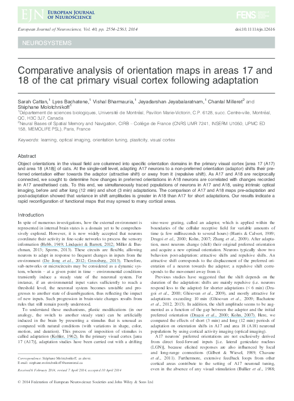 (PDF) Comparative analysis of orientation maps in areas 17 and 18 of the cat primary visual ...