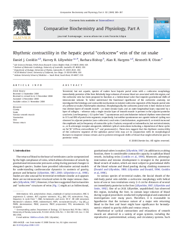 (PDF) Rhythmic contractility in the hepatic portal “corkscrew” vein of ...