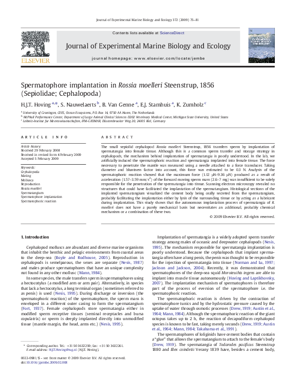 (PDF) Spermatophore implantation in Rossia moelleri Steenstrup, 1856 ...