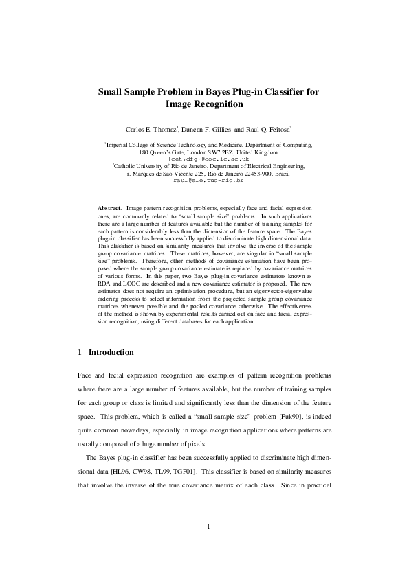 Pdf Small Sample Problem In Bayes Plug In Classifier For Image Recognition