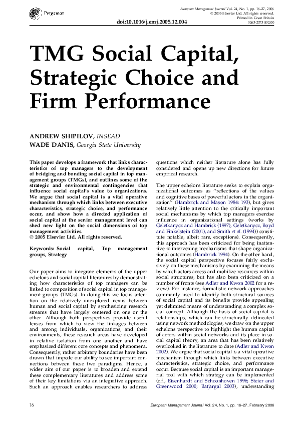(PDF) TMG Social Capital, Strategic Choice and Firm Performance