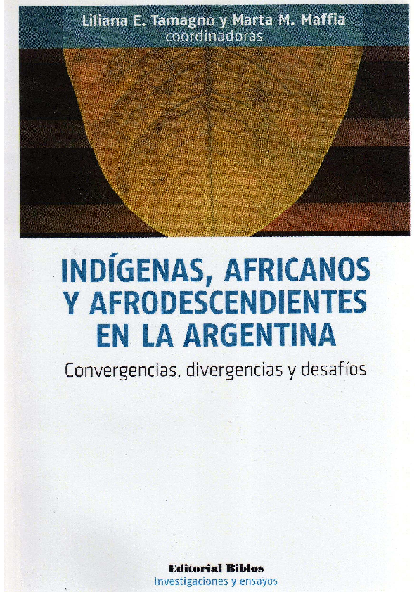 (PDF) Democracia y configuración de identidades políticas. Indígenas y ...