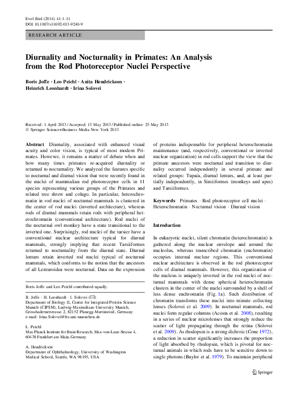 (PDF) Diurnality and Nocturnality in Primates: An Analysis from the Rod ...