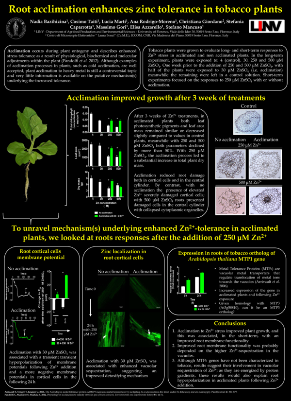 (PDF) Poster root acclimation