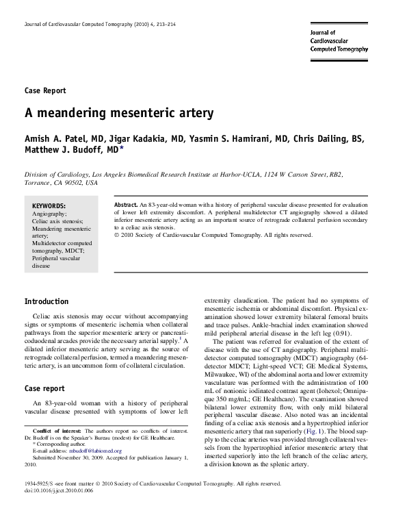 (PDF) A meandering mesenteric artery