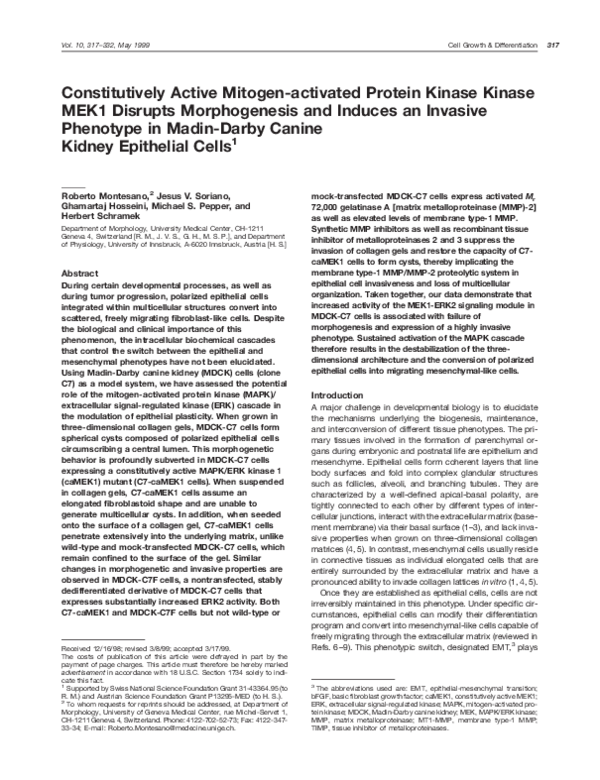 (PDF) Constitutively Active Mitogen-Activated Protein Kinase Versions ...
