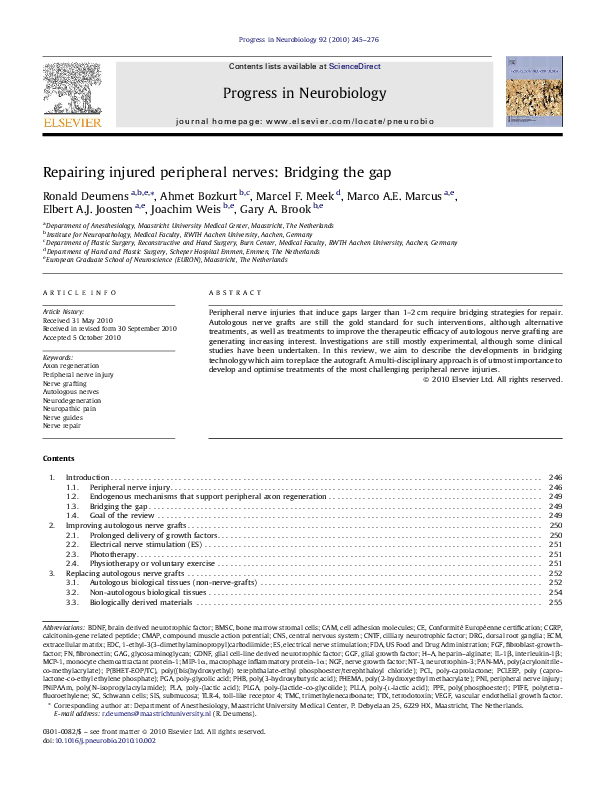 (PDF) Repairing injured peripheral nerves: Bridging the gap