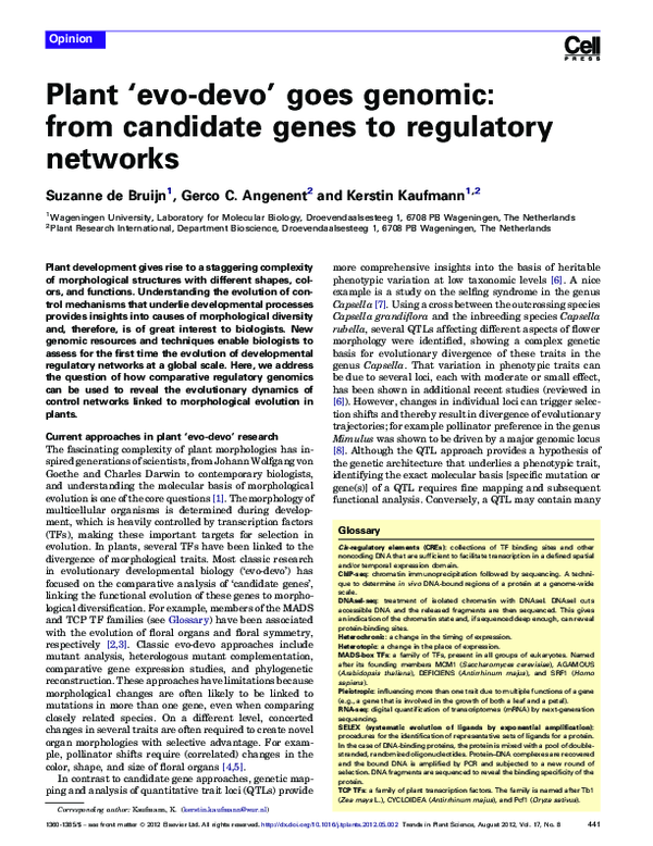 (PDF) Plant ‘evo-devo’ goes genomic: from candidate genes to regulatory networks
