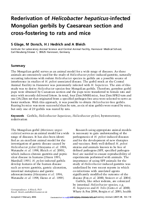 (PDF) Rederivation of Helicobacter hepaticus -infected Mongolian ...