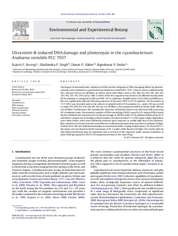 (PDF) Ultraviolet-B-induced DNA damage and photorepair in the ...