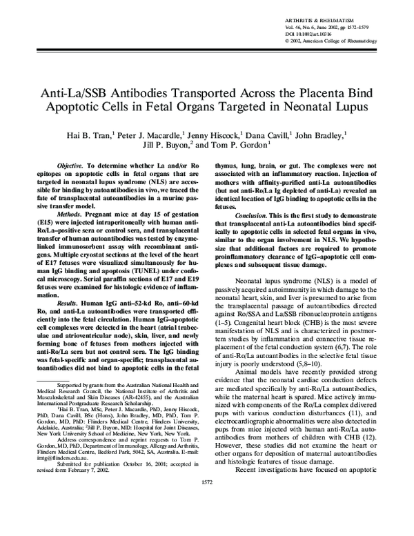 (PDF) Anti-La/SSB antibodies transported across the placenta bind ...