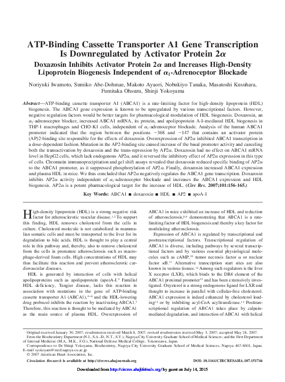 Pdf Atp Binding Cassette Transporter A1 Gene Transcription Is