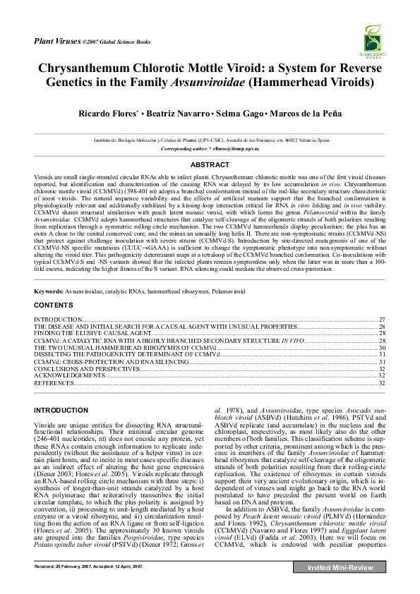 Chrysanthemum Chlorotic Mottle Viroid: a System for Reverse Genetics in ...
