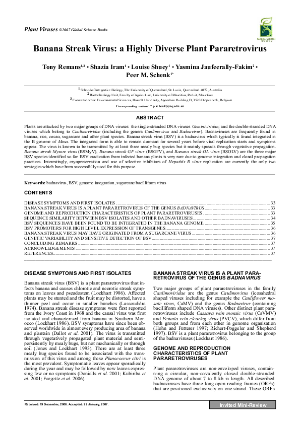 Banana Streak Virus: a Highly Diverse Plant Pararetrovirus