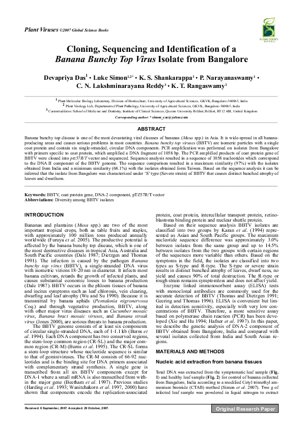 Cloning, Sequencing and Identification of a Banana Bunchy Top Virus ...