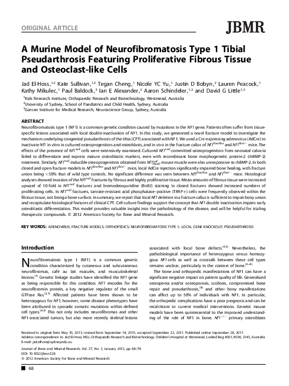 (PDF) A murine model of neurofibromatosis type 1 tibial pseudarthrosis ...