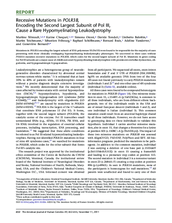 (PDF) Recessive Mutations in POLR3B, Encoding the Second Largest Subunit of Pol III, Cause a ...