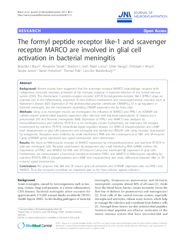 (PDF) The formyl peptide receptor like-1 and scavenger receptor MARCO ...