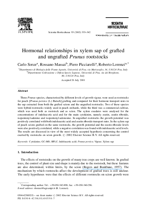 (PDF) Hormonal relationships in xylem sap of grafted and ungrafted ...