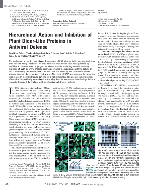 (PDF) Hierarchical Action and Inhibition of Plant Dicer-Like Proteins ...