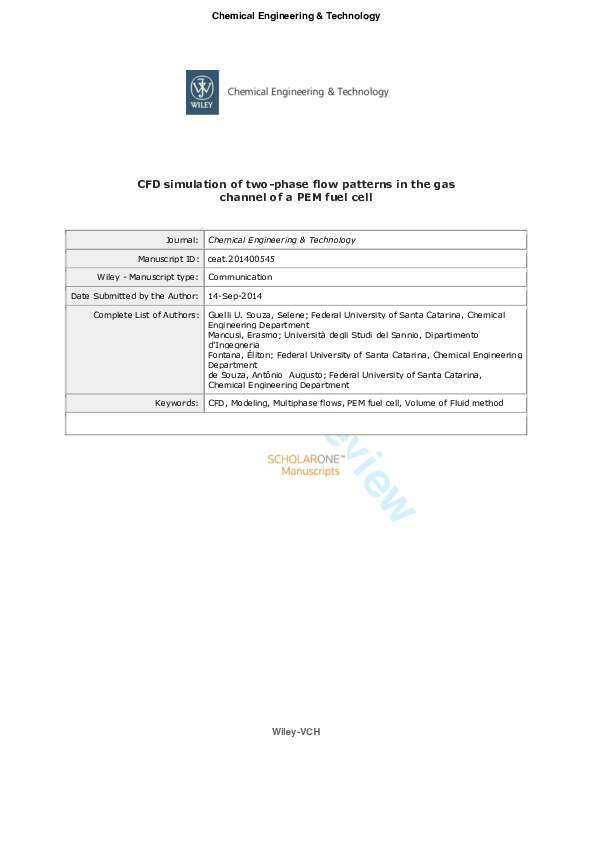 (PDF) CFD Simulation of Two-Phase Flow Patterns in the Gas Channel of a ...