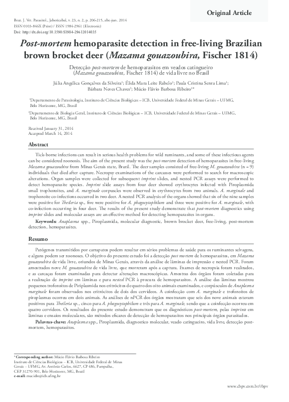 (PDF) Post-mortem hemoparasite detection in free-living Brazilian brown ...
